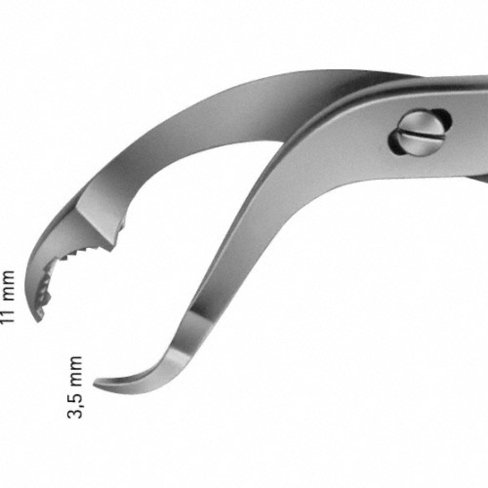 Davier à os - ugap.fr