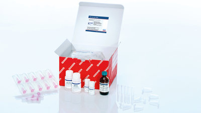 Qiagen Rneasy Mini Kit