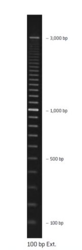SimplyLoad 100bp Extended Range DNA Ladder x 100 appl - ugap.fr