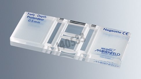 Cellule de numération Malassez double sans pince réseau clair - ugap.fr