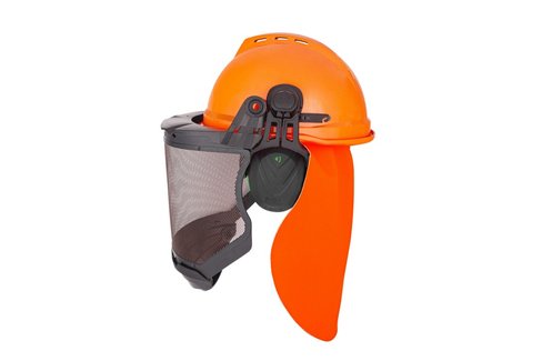 Kit Forestier Premium - MSA - avec protection auditive V-Gard et ...